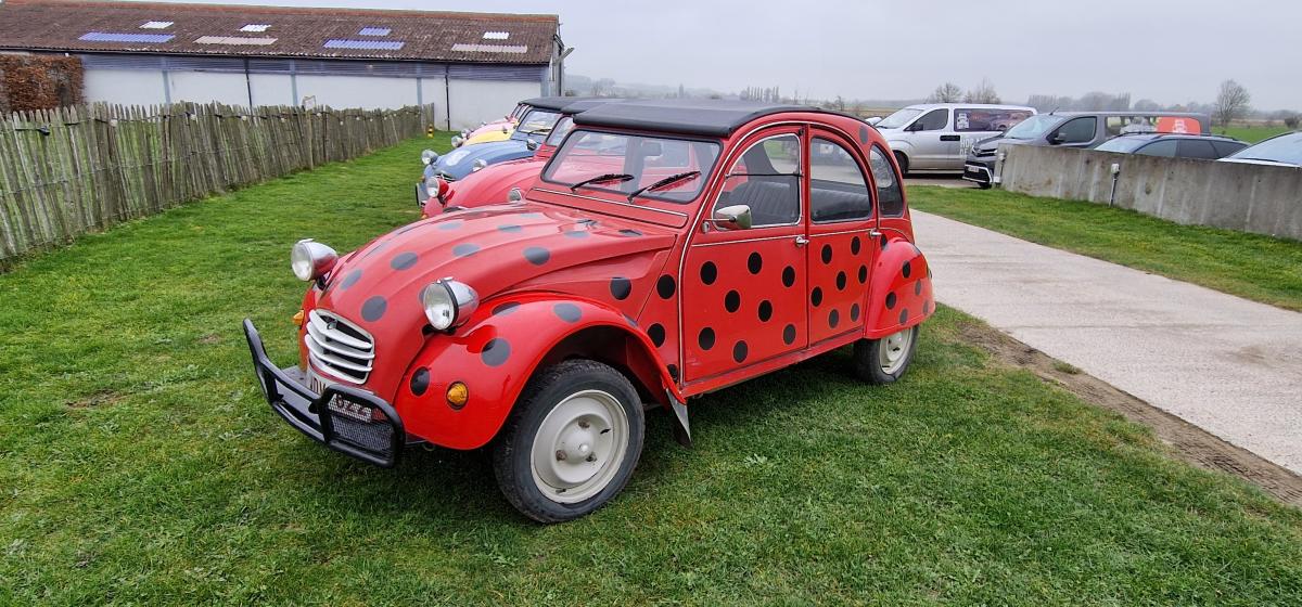 Pim Pam Poentje 2CV Dakar - Wagenpark | 2CV & CO