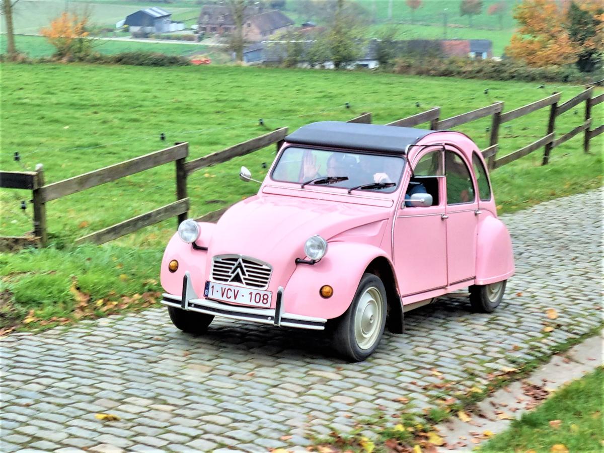 The Pink Panther 2CV Classic - Wagenpark | 2CV & CO